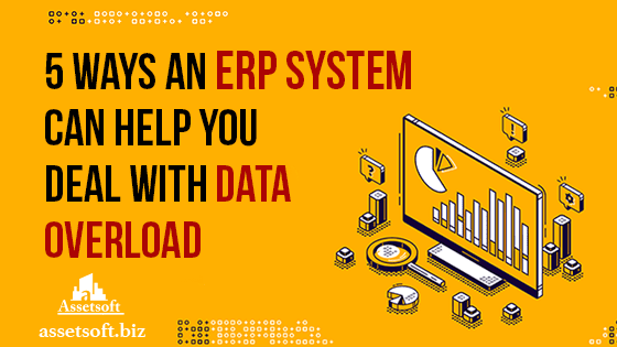 How You Can Prevent Data Overload With ERP Software | Assetsoft